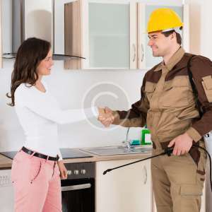 Silver Bullet Pest Control – We Liquefy Bugs Like Silver